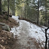 Will Abell Memorial Trail, California - 2,585 Reviews, Map | AllTrails