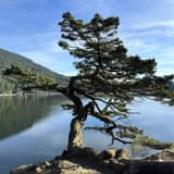 Cascade Lake Trail, Washington - 768 Reviews, Map | AllTrails