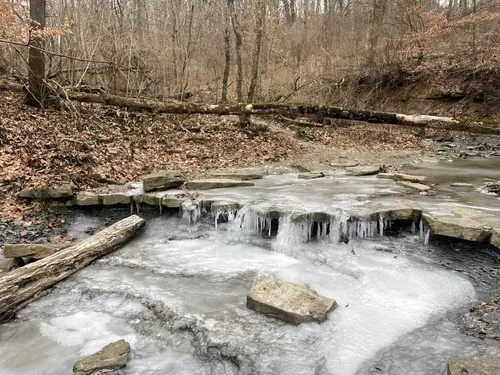 Best Hikes and Trails in Stanberry Park | AllTrails