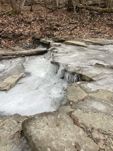 Best Hikes and Trails in Stanberry Park | AllTrails