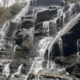 Yellow Branch Falls Trail, South Carolina - 2,514 Reviews, Map | AllTrails