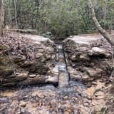 Yellow Branch Falls Trail, South Carolina - 2,514 Reviews, Map | AllTrails