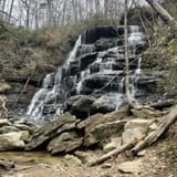 Yellow Branch Falls Trail, South Carolina - 2,514 Reviews, Map | AllTrails