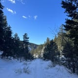 Chamisa Trail, New Mexico - 1,273 Reviews, Map | AllTrails