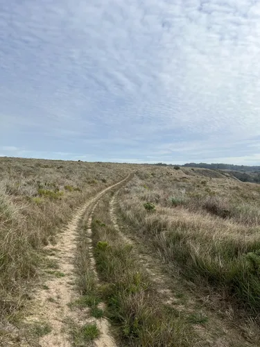 Best Hikes and Trails in Vandenberg Air Force Base | AllTrails