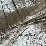 Adam Run Trail, Ohio - 2,150 Reviews, Map | AllTrails