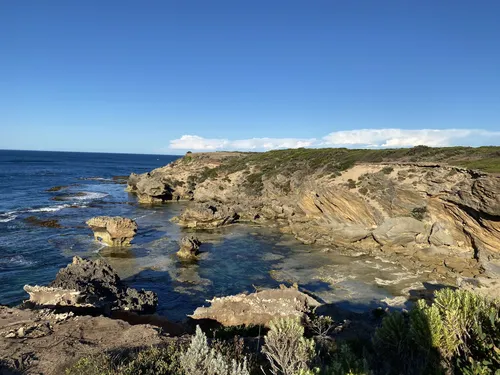 Best Hikes and Trails in Thunder Point Coastal Reserve | AllTrails