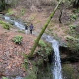 Dawn Falls Trail Loop, California - 843 Reviews, Map | AllTrails