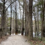Colleton State Park Nature Trail, South Carolina - 42 Reviews, Map ...