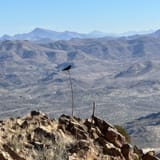 Picketpost Mountain Trail, Arizona - 2,127 Reviews, Map | AllTrails