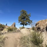 Peralta Trail, Geronimo's Cave, Lone Tree, and Bluff Springs Loop ...