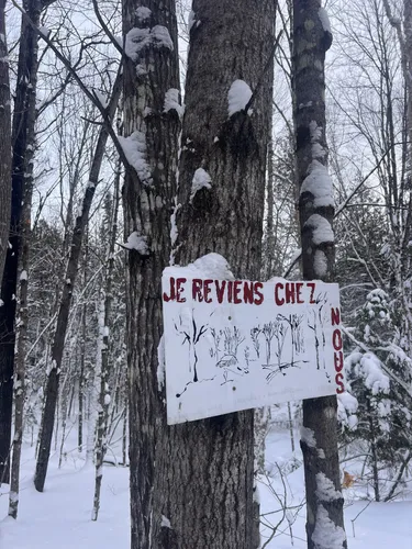 Best Kid Friendly Trails in Papineau-Labelle Wildlife Reserve | AllTrails