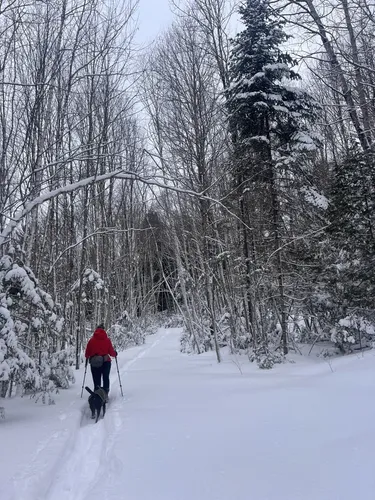 Best Kid Friendly Trails in Papineau-Labelle Wildlife Reserve | AllTrails