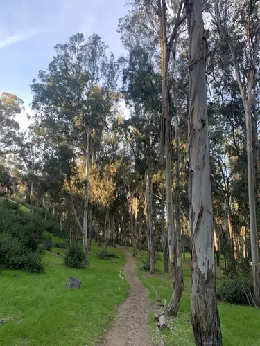 Best Hikes and Trails in Hosp Grove Park | AllTrails