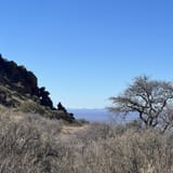 Soledad Canyon Loop, New Mexico - 1,257 Reviews, Map | AllTrails