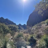 Soledad Canyon Loop, New Mexico - 1,257 Reviews, Map | AllTrails