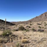Soledad Canyon Loop, New Mexico - 1,257 Reviews, Map | AllTrails