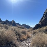 Soledad Canyon Loop, New Mexico - 1,257 Reviews, Map | AllTrails