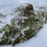 Croisan Creek Trail, Oregon - 226 Reviews, Map | AllTrails