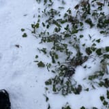 Croisan Creek Trail, Oregon - 226 Reviews, Map | AllTrails