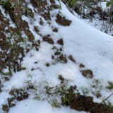 Croisan Creek Trail, Oregon - 226 Reviews, Map | AllTrails