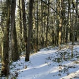 Croisan Creek Trail, Oregon - 226 Reviews, Map | AllTrails