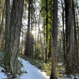 Croisan Creek Trail, Oregon - 226 Reviews, Map | AllTrails