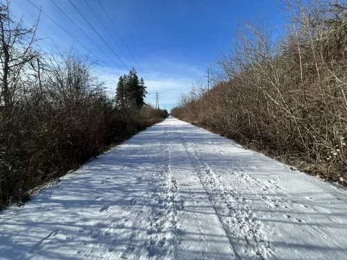 Best Forest Trails in Boring | AllTrails