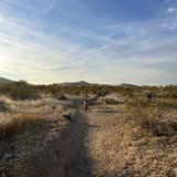 Apache Wash Loop Trail, Arizona - 1,882 Reviews, Map | AllTrails
