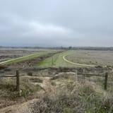 Lewis Eaton and Tom Macmichael Loop Trail , California - 233 Reviews ...