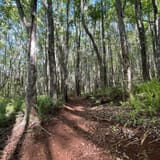 Kahakapao Loop Trail, Maui, Hawaii - 1,936 Reviews, Map | AllTrails