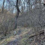 Dickey Ridge Trail, Virginia - 348 Reviews, Map | AllTrails