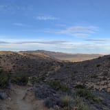 Ryan Mountain, California - 6,999 Reviews, Map | AllTrails