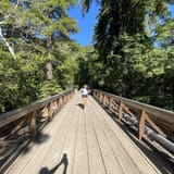 Big Sur River Gorge Trail, California - 539 Reviews, Map | AllTrails