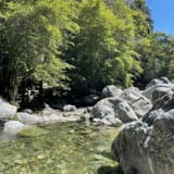 Big Sur River Gorge Trail, California - 539 Reviews, Map | AllTrails