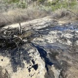 Towsley Canyon Loop Trail, California - 3,789 Reviews, Map | AllTrails