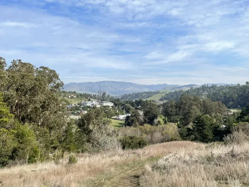 Best Walking Trails in Fiscalini Ranch Preserve | AllTrails