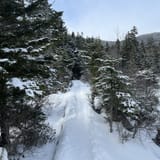 Lonesome Lake Trail, New Hampshire - 3,478 Reviews, Map | AllTrails