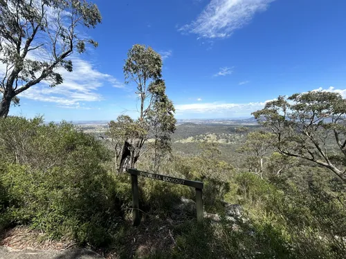 Best Forest Trails in Mount Cole State Forest | AllTrails
