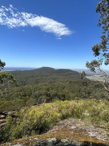 Best Forest Trails in Mount Cole State Forest | AllTrails