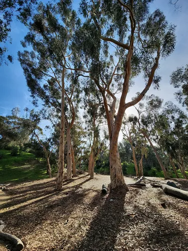 Best Hikes and Trails in Hosp Grove Park | AllTrails