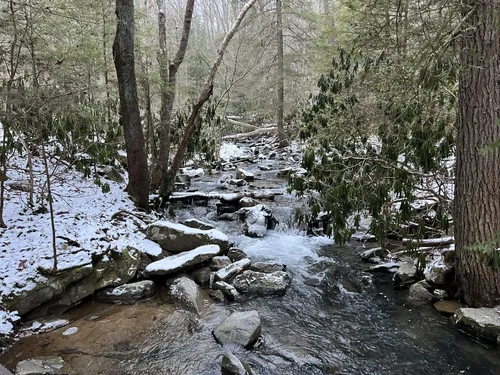 Best Hikes and Trails in Chestnut Ridge Park | AllTrails