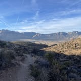 Fossil Ridge Loop, Nevada - 834 Reviews, Map | AllTrails