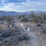 Fossil Ridge Loop, Nevada - 831 Reviews, Map | AllTrails