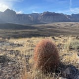 Fossil Ridge Loop, Nevada - 840 Reviews, Map | AllTrails