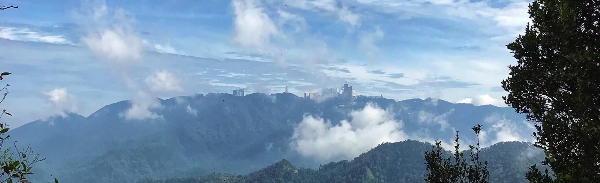 Gunung Bunga Buah, Pahang, Malaysia - 302 Reviews, Map | AllTrails