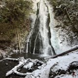 Madison Falls Trail, Washington - 1,632 Reviews, Map | AllTrails