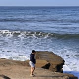 Point Loma Tidepools and Coastal Trail, California - 722 Reviews, Map ...