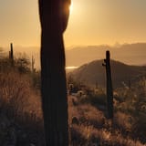 Dixie Mine Trail, Arizona - 147 Reviews, Map | AllTrails