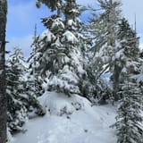 Mount Rose Trail, Washington - 1,384 Reviews, Map | AllTrails